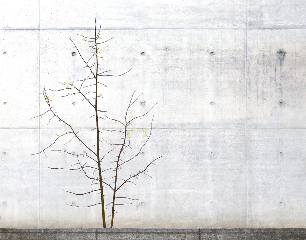 Offside – Van Uehm